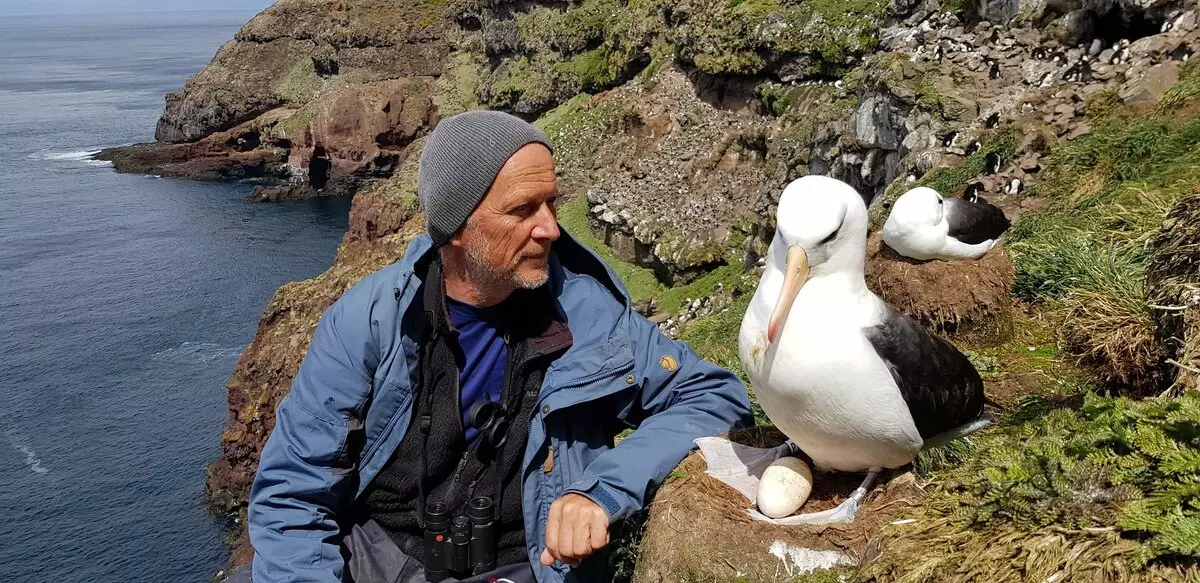 Albatrossi vashori vanoramba vachitevedza mapindu. Iye zvino mhando itsva dzinobatanidzwa.