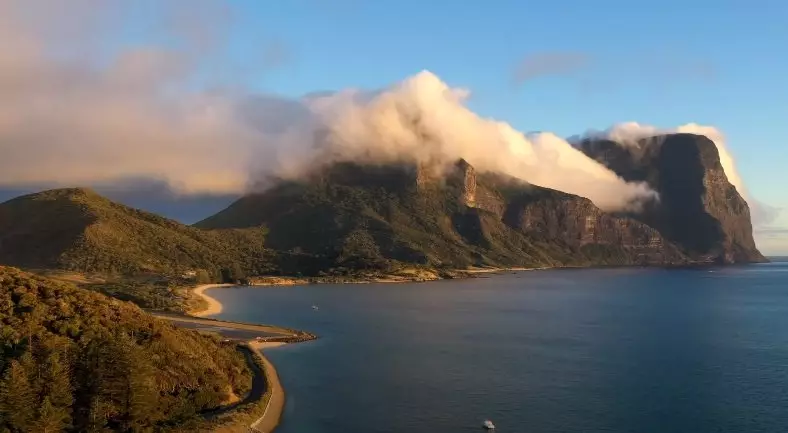 La isla australiana comenzó "Renacimiento ecológico". Para esto tuve que exterminar a 300 mil roedores.