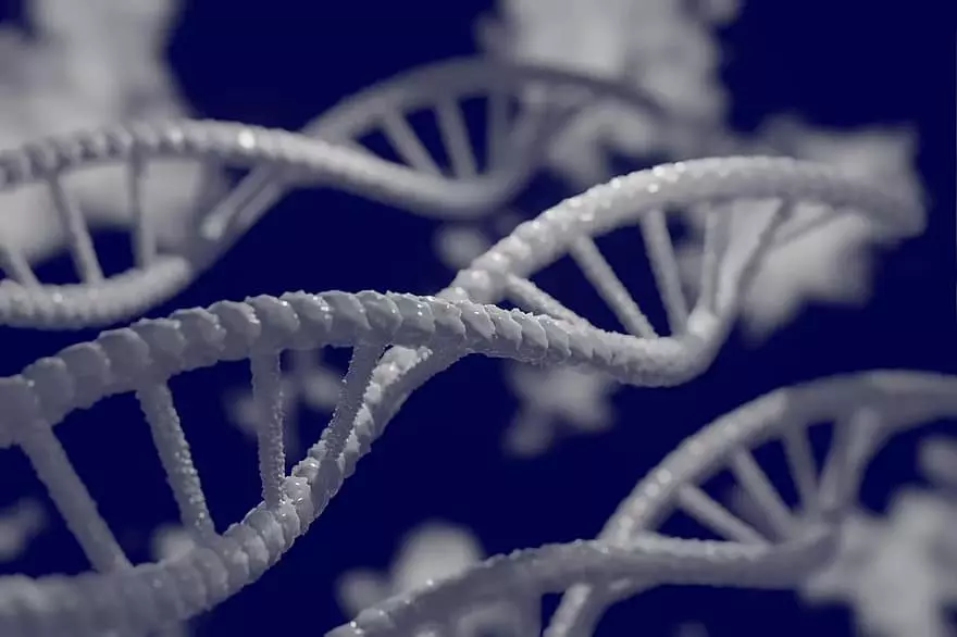 Вперше розшифровано повна послідовність Х-хромосоми людини
