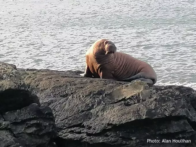 Ang baybayon sa Ireland unang namatikdan sa unang higayon: video