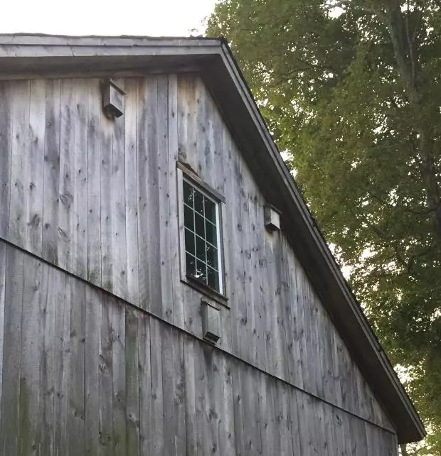 bat_houses_on_barn_in_princeprinceton_ma_08.15.17.jpg