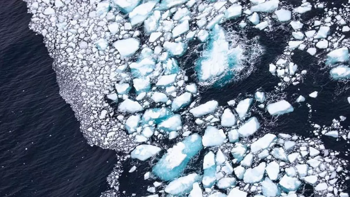 Famous Iceberg A68, sef y mwyaf yn y byd, wedi toddi o'r diwedd