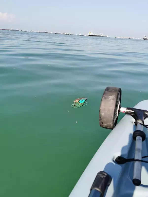 Auf einem kleinen Floß: ungewöhnliche Spar Krabbe