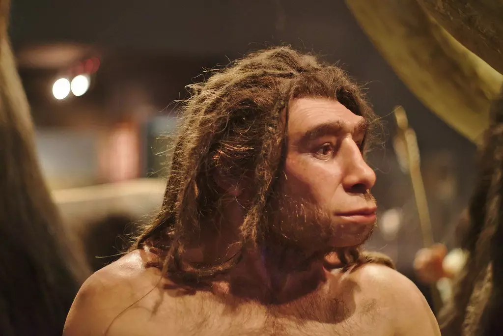 Neanderthal.