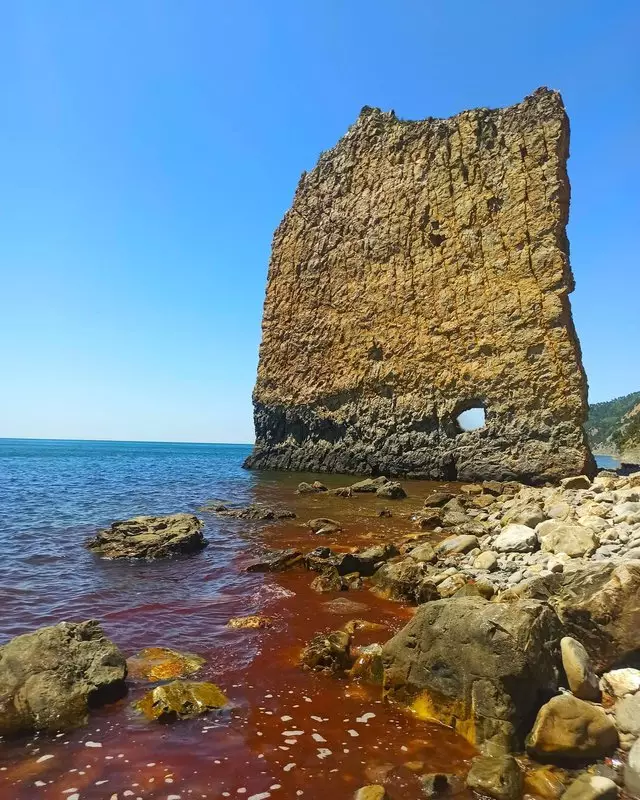 Morská voda v blízkosti Gelendzhik červenal: video