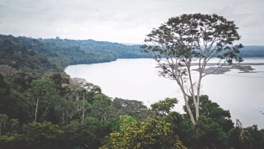 Green noise: photo report from the biggest rainforest planet