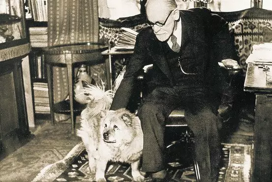 dog hasta sarp Söhbetler Sigmund Freud kömek