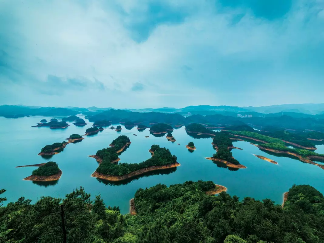 Icyayi, Cinema na vino: raporo yo mu ntara ya Zhejiang