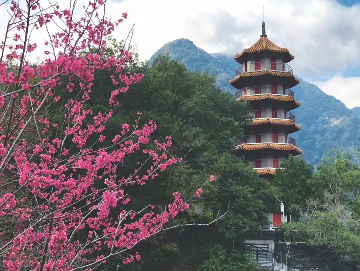 Mysteriéis Insel: Verknëppung vun Felder, Bëscher a Bierger Taiwan