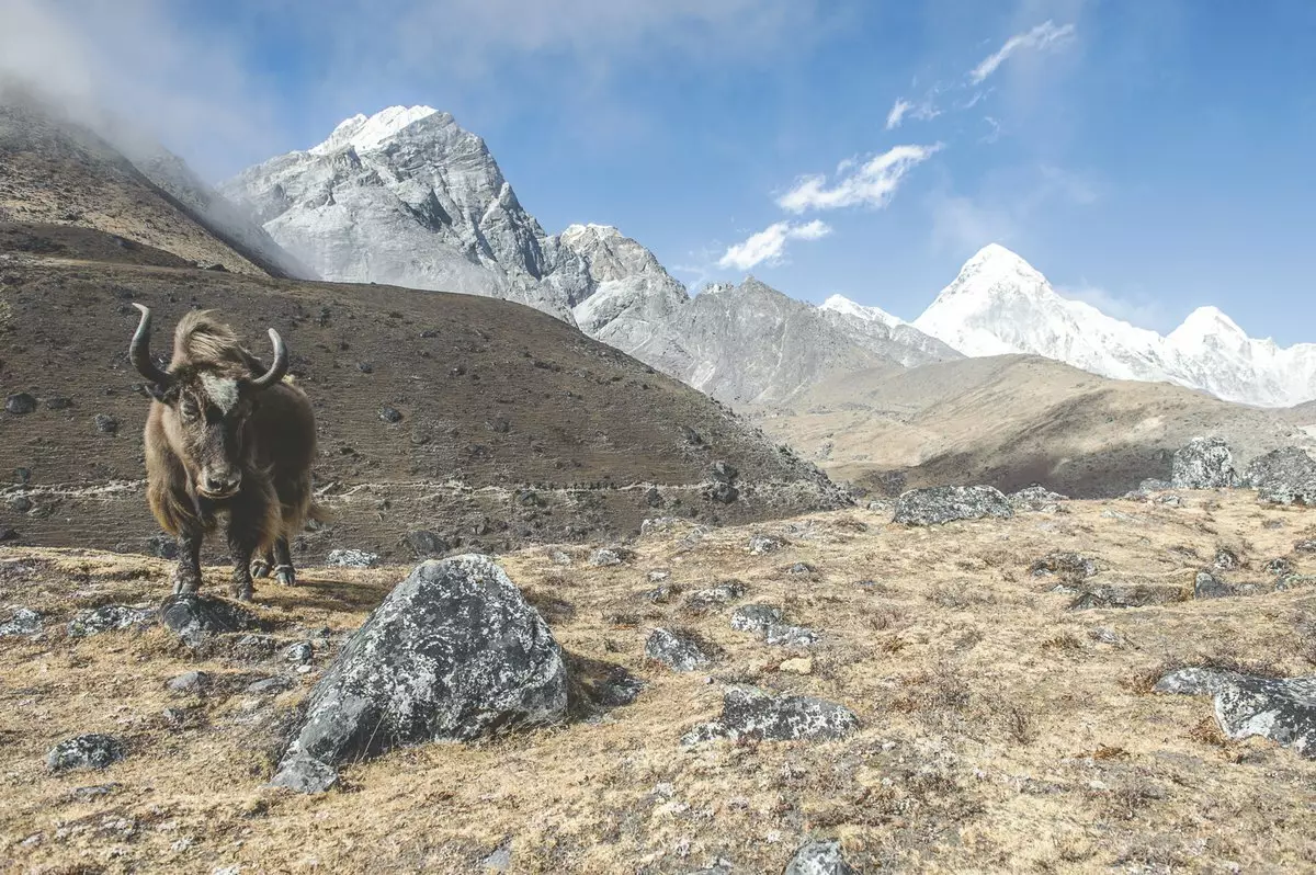 "Galvenais ir panākt ritmu": kā sasniegt Everest