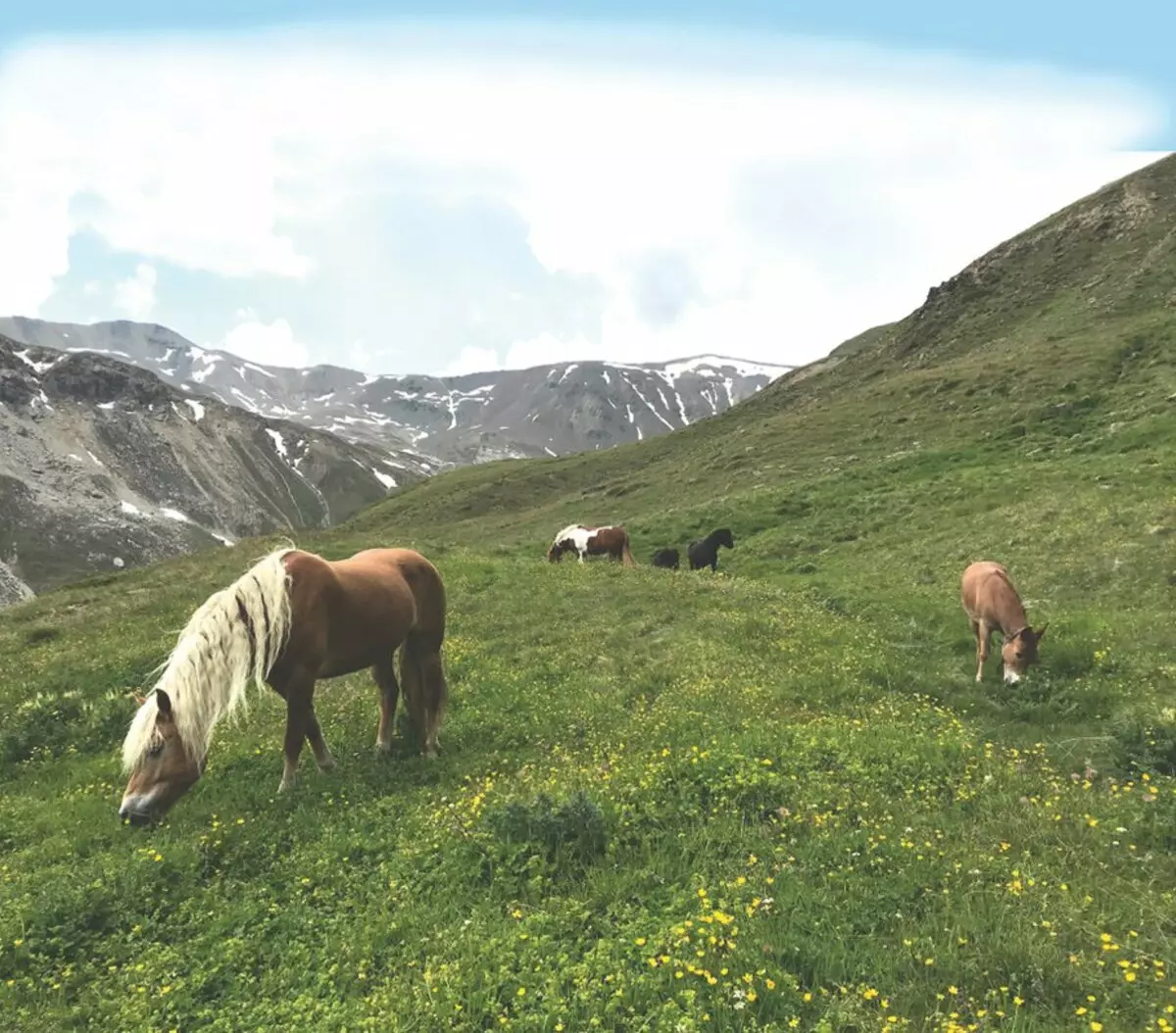 Point na mapě: Livigno, Itálie