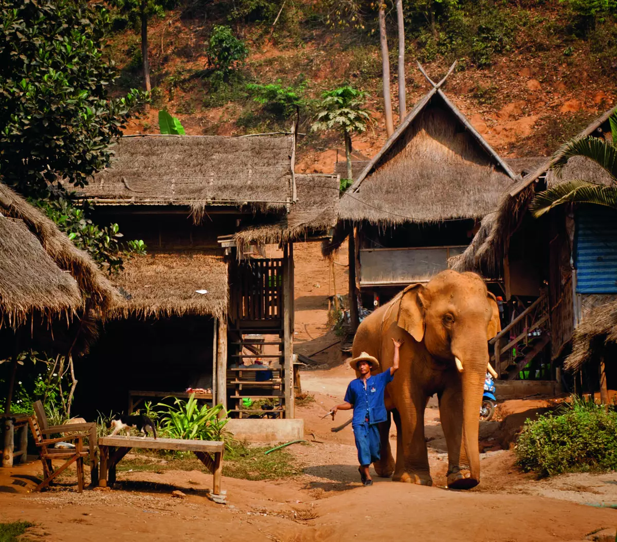 Bioturism: how to draw the border between ethical and traumatic experience of communicating with wildlife